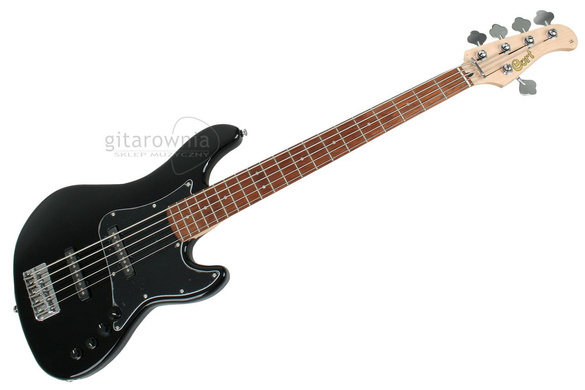 Gitary Basowe